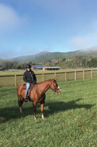 Leading Edge: Back in the saddle - Inside Logisitics