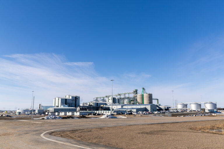 Cargill opens canola processing facility in Regina to boost domestic ...